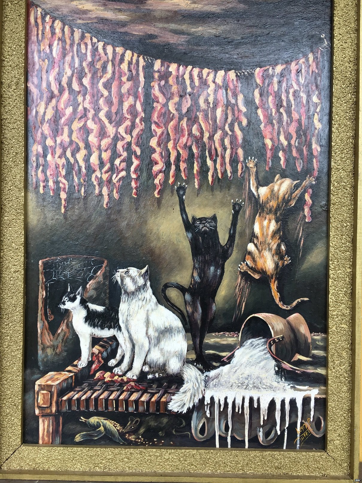 Lemma Animal Amazon.com: 600+ Live Duckweed (Lemma Minor) NO Snail