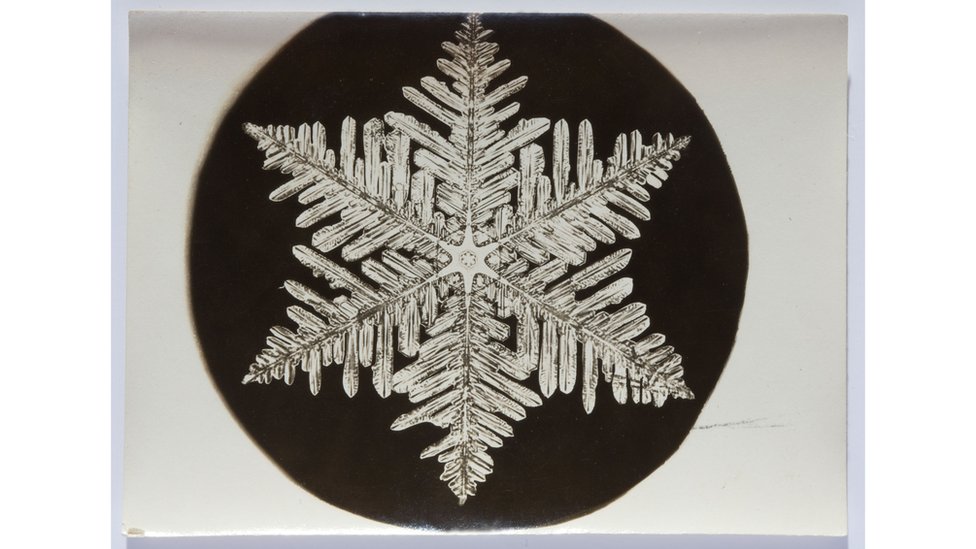 Wilson Bentley, El Hombre Del Copo De Nieve Copos De Nieve ¿Qué Son?