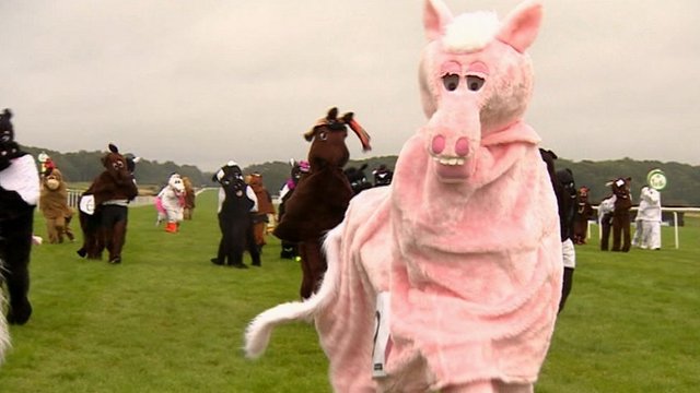 Newcastle Racecourse panto animals gallop into record books - BBC News