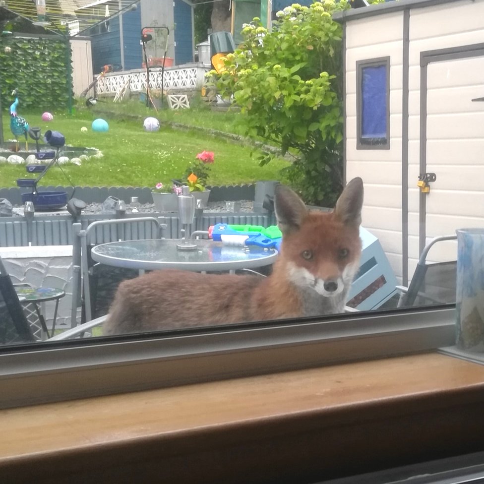 Your pictures of Scotland 19 - 26 June - BBC News