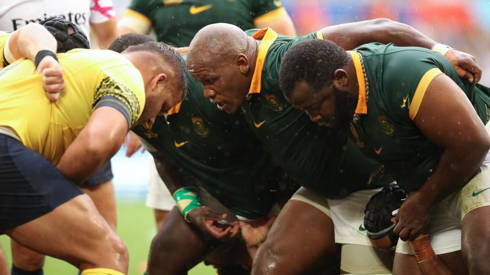 Springbok Rugby Scrum Halves