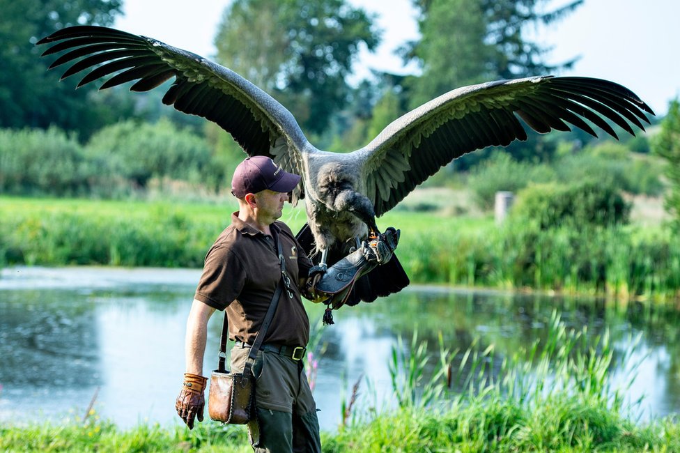 Week in pictures: 24 - 30 August 2019 - BBC News