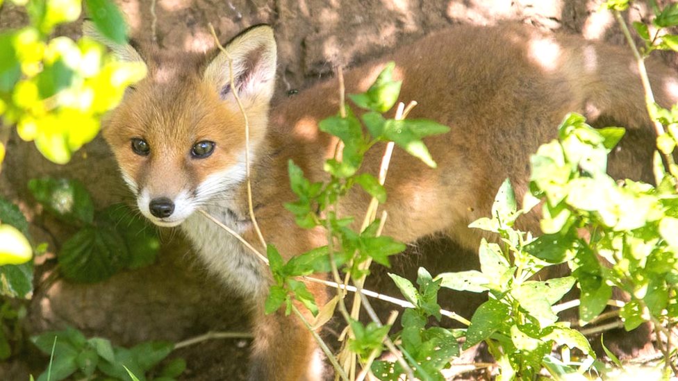 Your pictures of Scotland 1 May - 8 May - BBC News