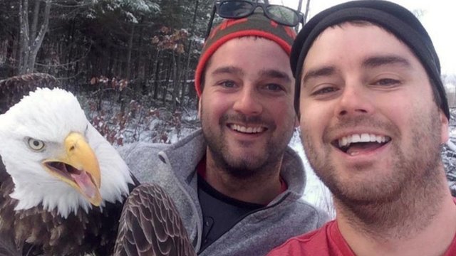 How these guys rescued a bald eagle - BBC Newsround
