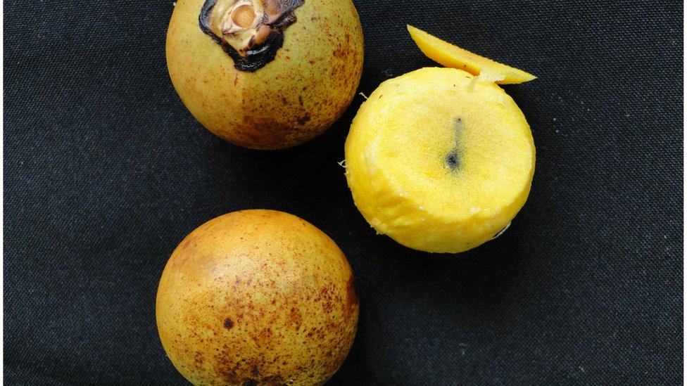 Estrutura Do Fruto Do Dende Azeite De Dendê: Conheça Esse