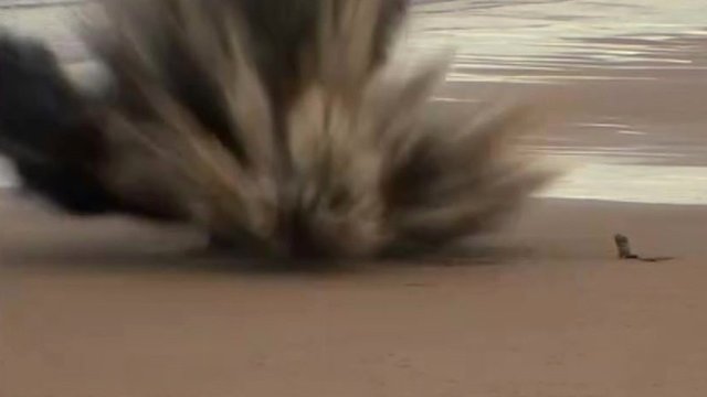 WW2 bomb detonated in controlled blast in Victoria Park - BBC News