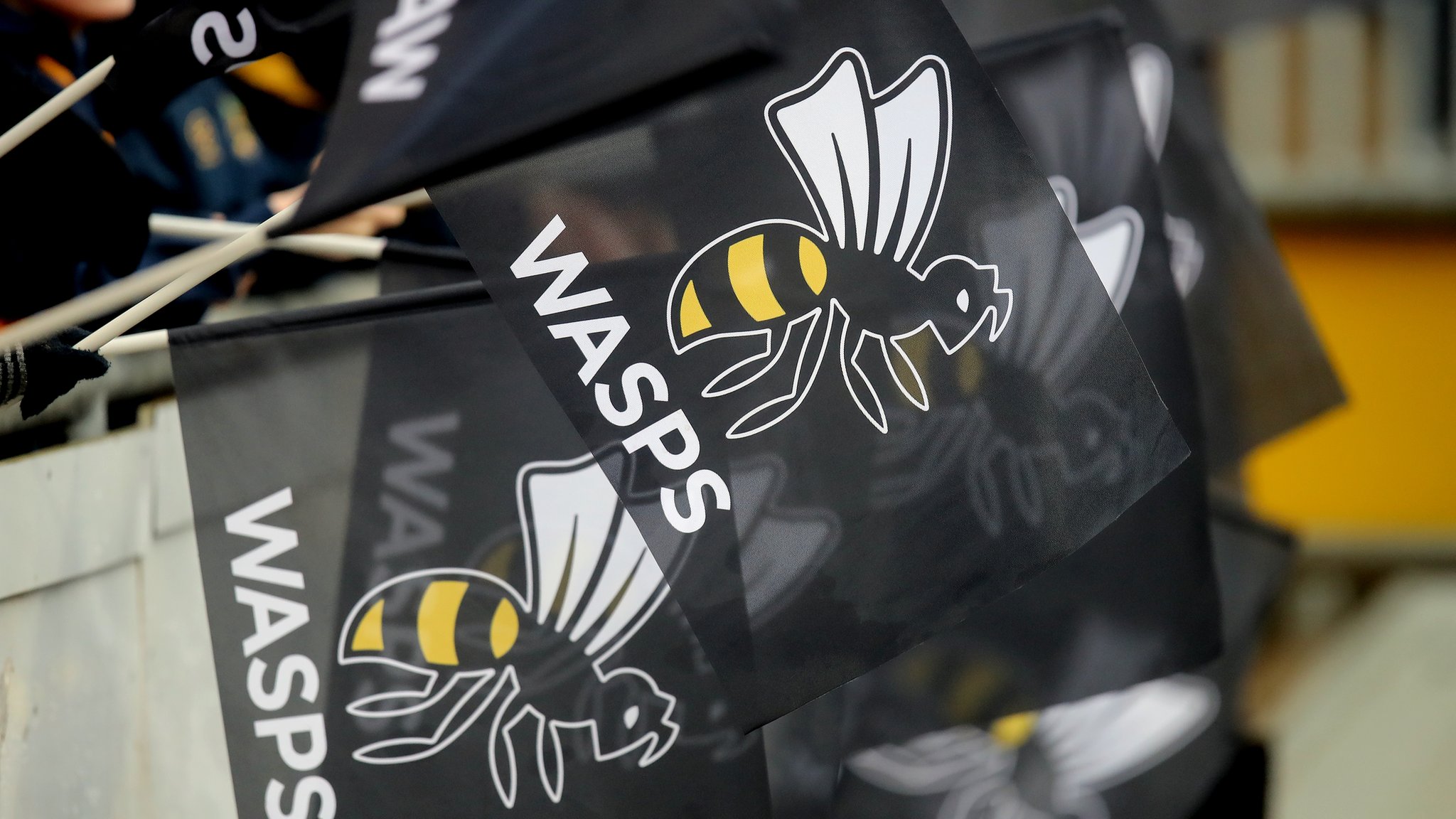 Wasps Unveil New Logo For Entire Club