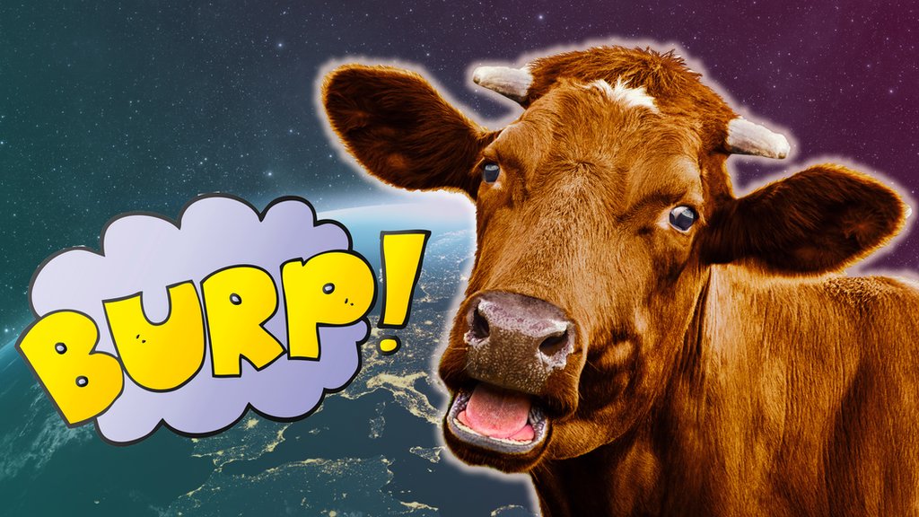 Methane from cow burps seen from space for the first time - CBBC Newsround