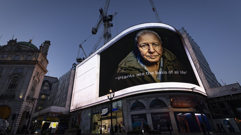 Sir David Attenborough turns Piccadilly Circus green! - CBBC Newsround