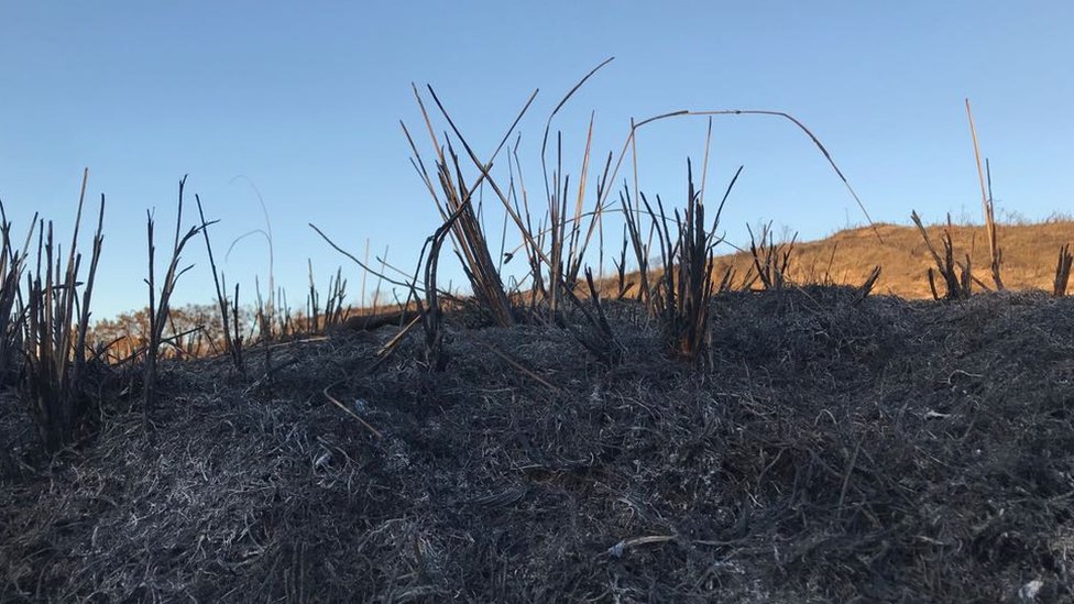 Benone Strand fire under control - BBC News