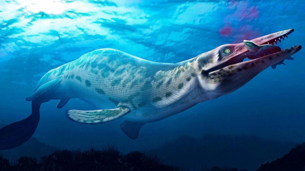 Animales Gigantes Que Existen