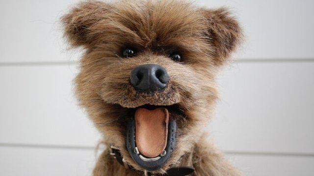 Sir David Attenborough observes Hacker T Dog in secret filming - BBC ...