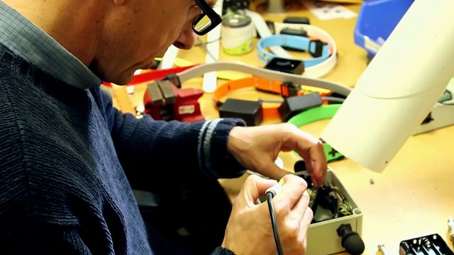 The inventor who helps the birds - BBC News