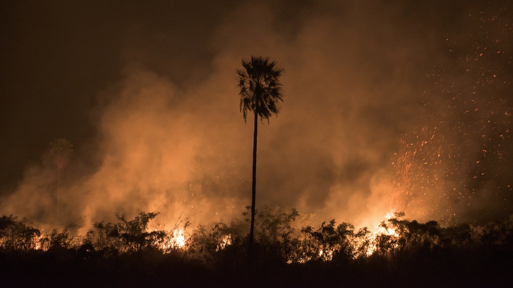 Climate change: The number of global fires has increased by 13% - CBBC ...