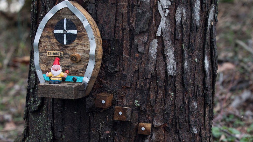 Pictures: Evicted gnomes find new spot for their homes - CBBC Newsround