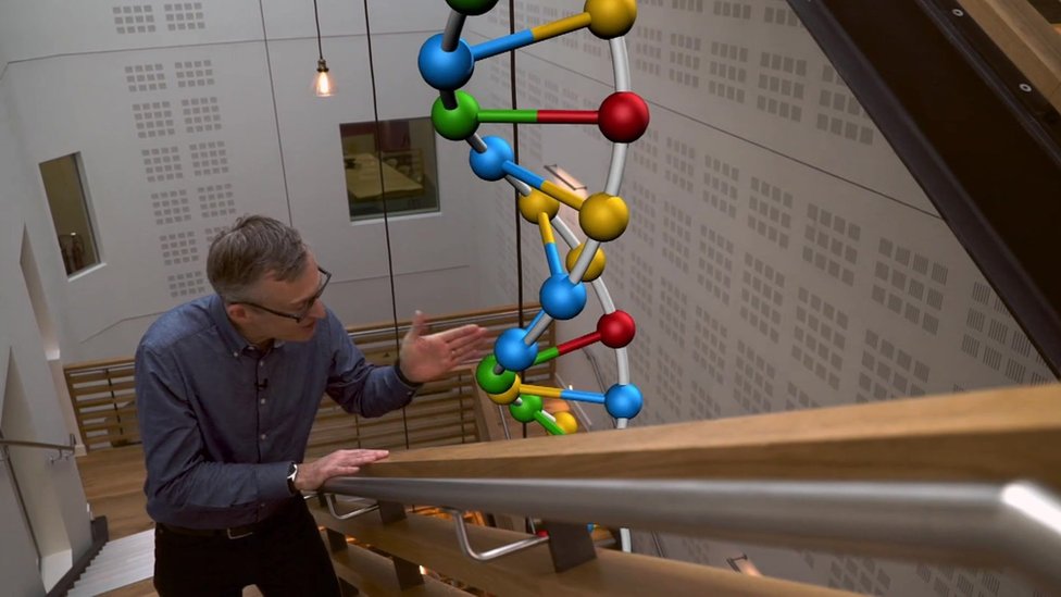 How gene editing works - BBC News