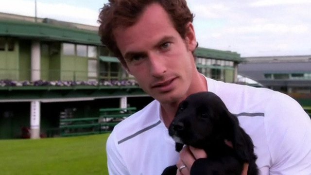 Andy Murray meets sniffer dog pups - BBC Newsround