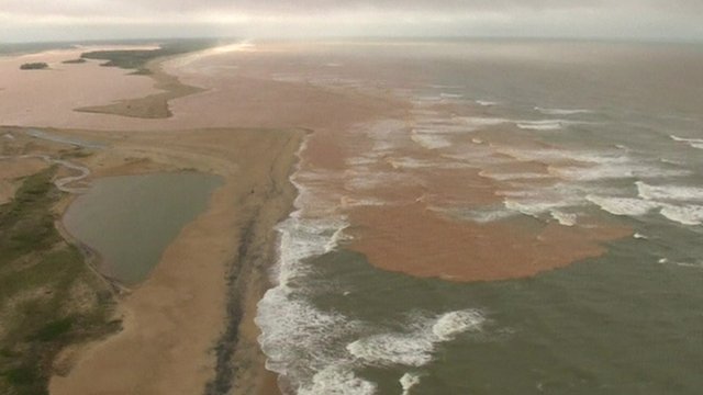Toxic mud destroys forests in Brazil - BBC Newsround