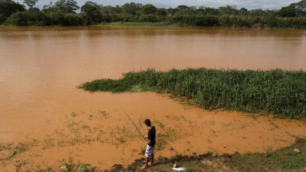 Brazil dam breach: Toxic mud 'devastated vegetation' - BBC News