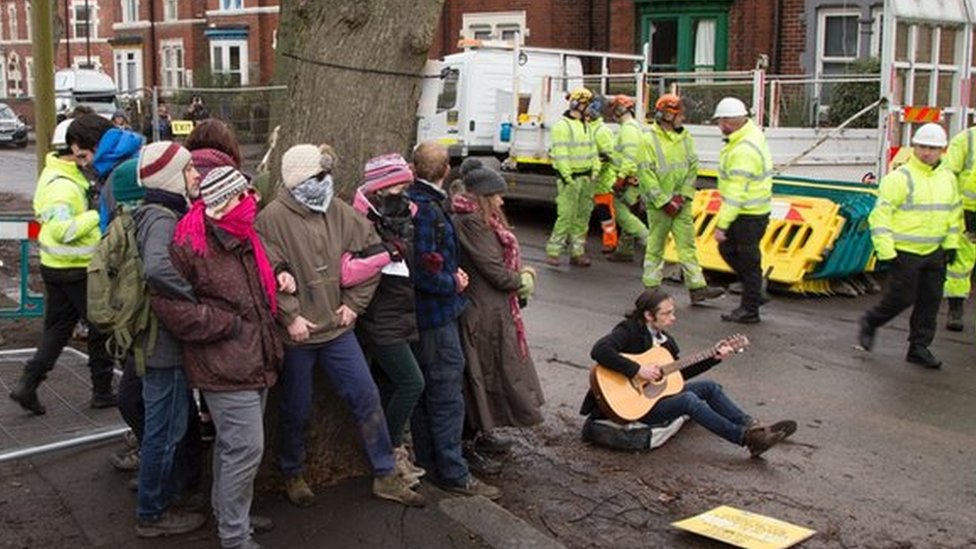 Two Sheffield tree protesters get suspended prison sentences - BBC News