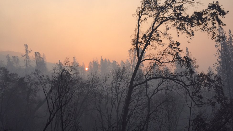 US wildfires death toll rises to five - BBC News