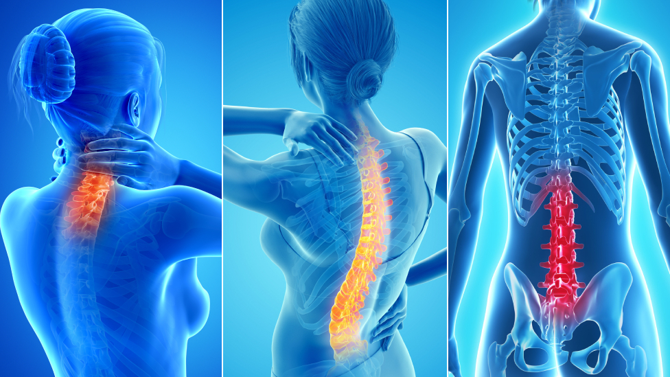 ¿Cuándo debería preocuparme por el dolor lumbar? | Guía de salud | Vidaliax
