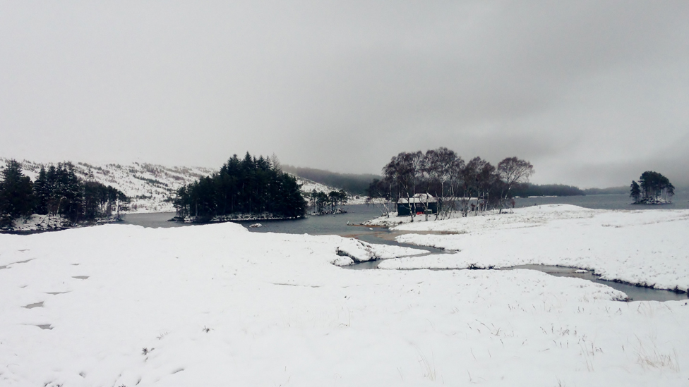 BBC News - Your pictures of Scotland: 27 November - 4 December