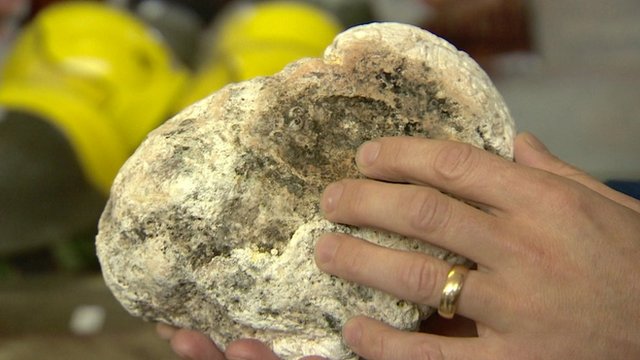 Lump of whale sick sells for thousands - BBC Newsround
