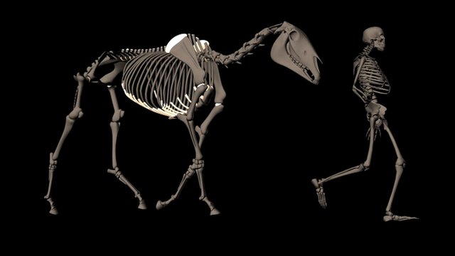 Horsing around with motion capture - BBC News