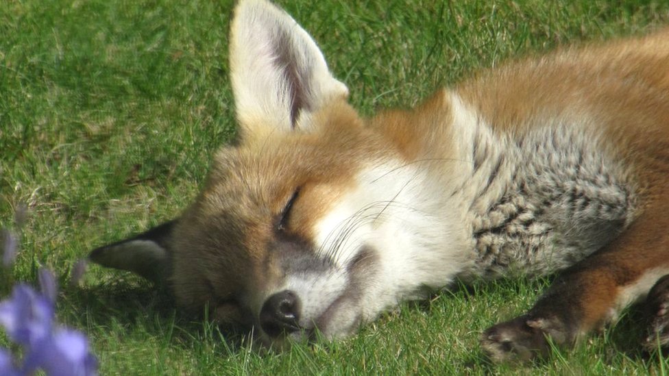 Your pictures of Scotland 10 - 17 July - BBC News