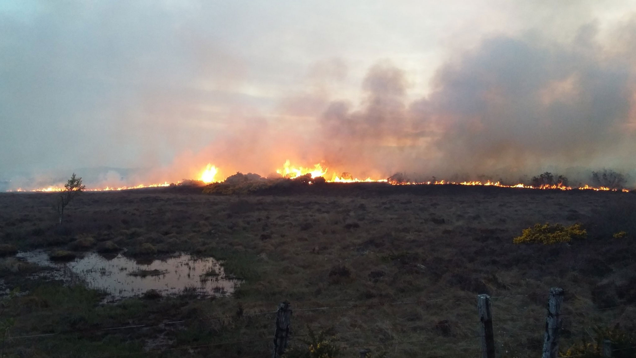 Fire crews bring wildfire near Inverness under control - BBC News