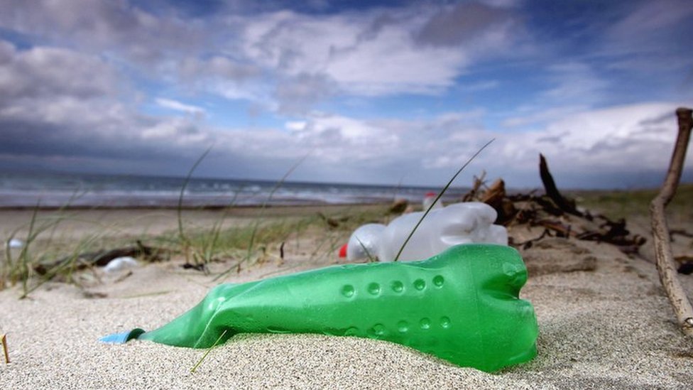 Plastic pollution: Global agreement to tackle plastic - CBBC Newsround