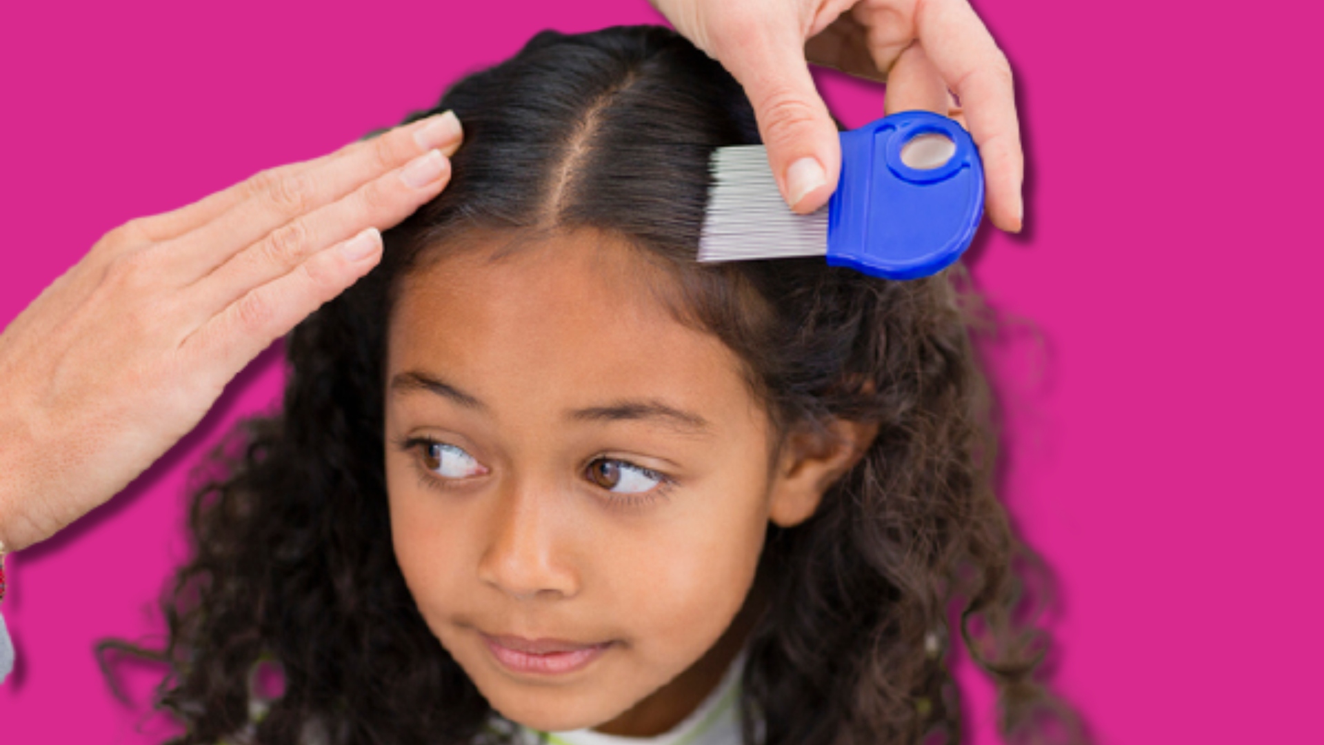 Archaeology: How nits are revealing secrets about ancient humans - CBBC ...