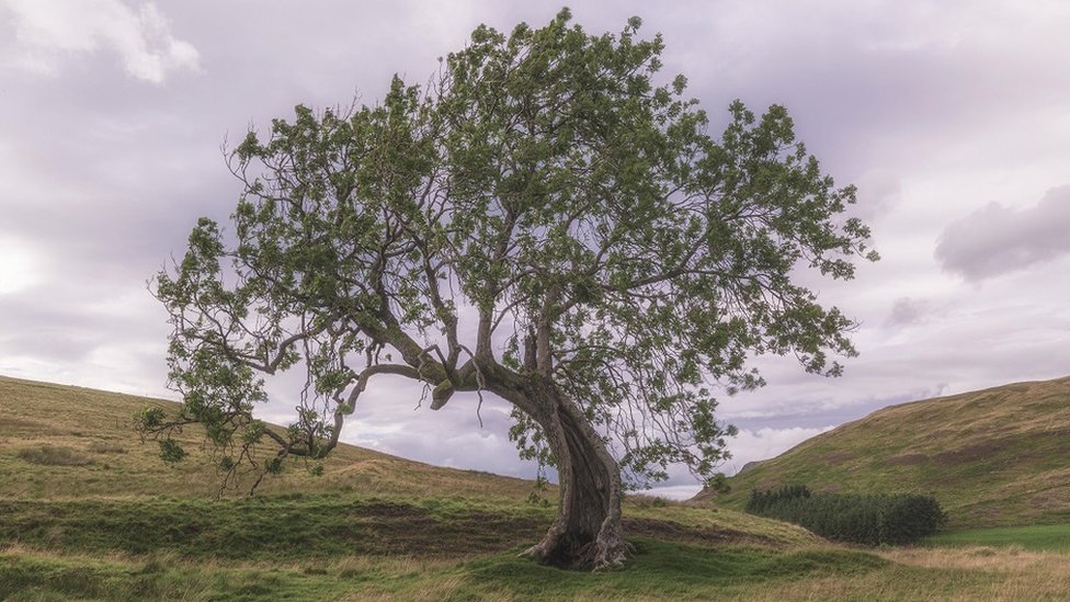 Your pictures of Scotland 21 - 28 August - BBC News