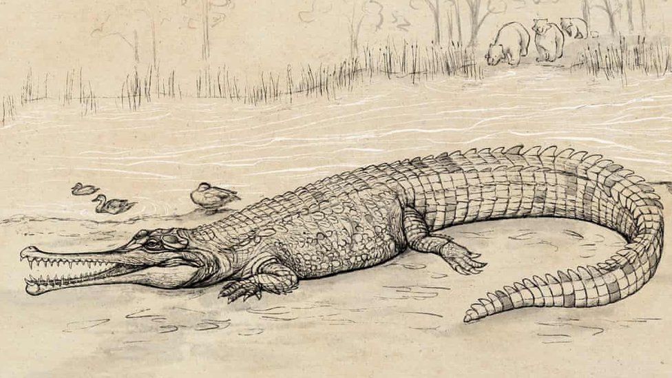 Meet the GIANT prehistoric 'river boss' croc! - CBBC Newsround