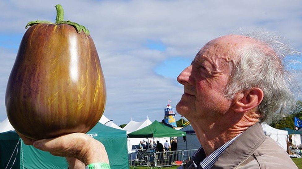 Check out these massive record-breaking vegetables! - CBBC Newsround