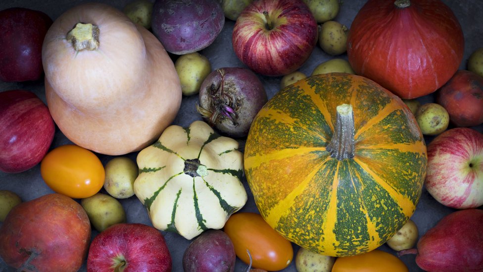 How will your school be celebrating Harvest Festival? - CBBC Newsround