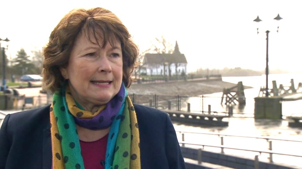 Senior Conservative steps down from Senedd - BBC News