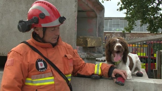 Cracker the Manchester fire dog retires after 10 years - BBC News