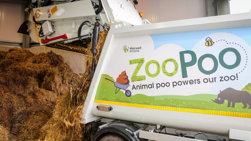 Marwell Zoo to become the first in the UK to heat its buildings using ...
