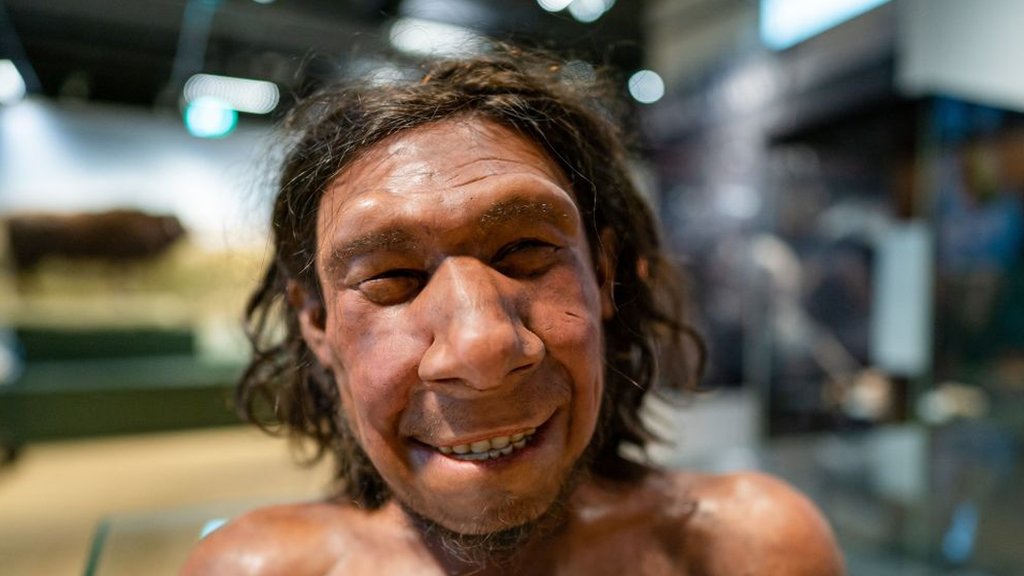Did European humans and Neanderthals live at the same time? - CBBC ...