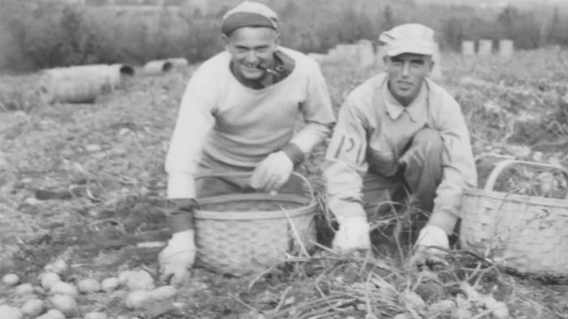 The German prisoners of war who harvested US potatoes - BBC News