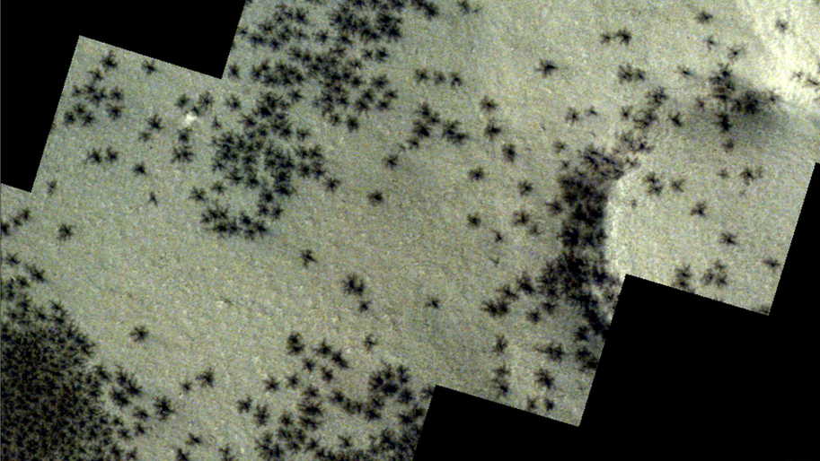 Spiders From Nasa Moon From The Earth To The Moon So Long Spider