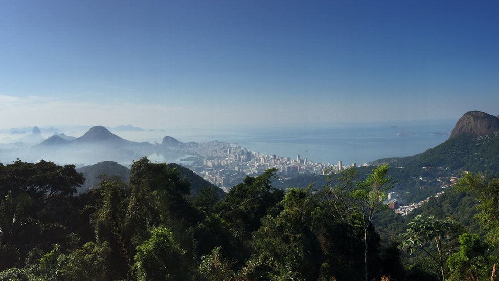 Rio 2016: The hidden trail in the heart of Rio - BBC News