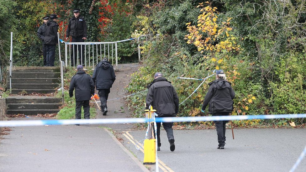 Crawley stabbing: Girl, 14, charged with murder - BBC News