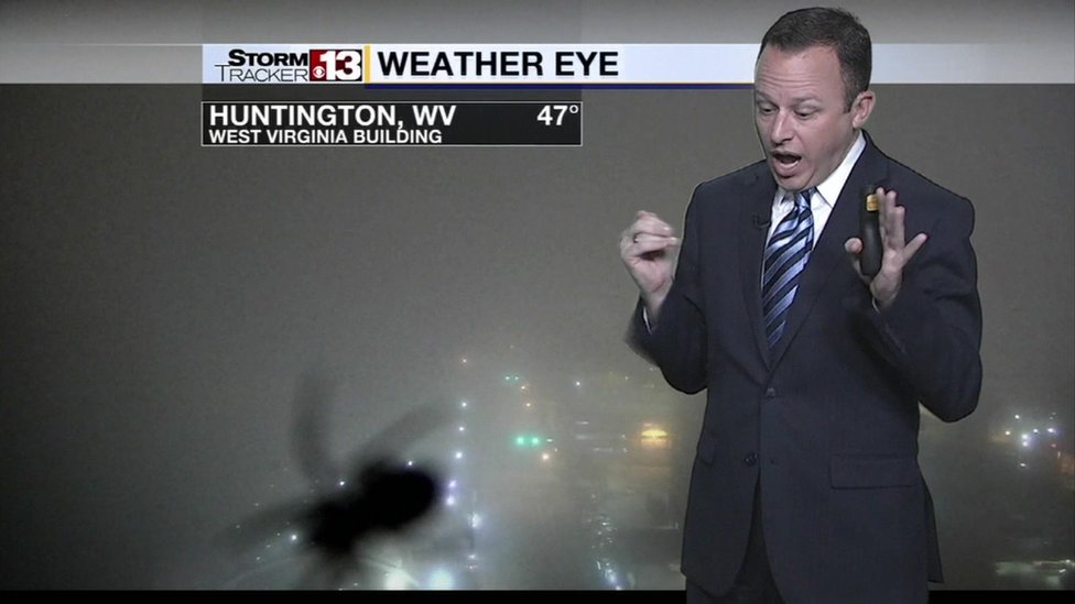 Spider scares US weatherman - BBC Newsround