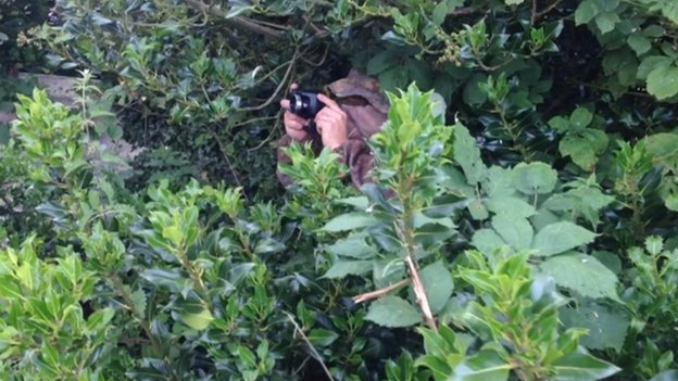 Stalker In The Bushes
