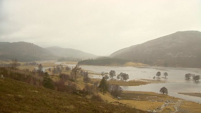 BBC Winterwatch's warning of catastrophic mild winter for wildlife ...