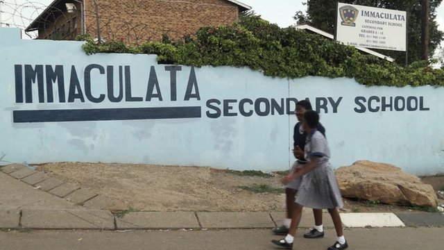 Why are South Africans burning schools in Limpopo? - BBC News