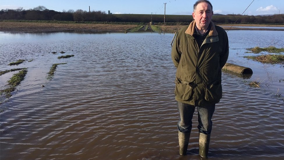 Stormont needed to deal with farm 'crisis' - BBC News